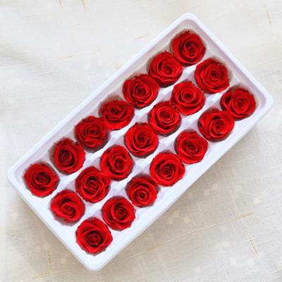 China Durable 2~3 Cm Eternal Rose Flower / Long Lasting Roses For Promotional for sale
