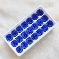 China Durable 2~3 Cm Eternal Rose Flower / Long Lasting Roses For Promotional for sale