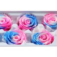 China 5-6 Cm Everlasting Real Rose Preserved Fresh Flower Lightweight Custom Size for sale
