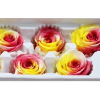 China 5-6 Cm Everlasting Real Rose Preserved Fresh Flower Lightweight Custom Size for sale