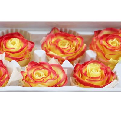 China 5-6 Cm Everlasting Real Rose Preserved Fresh Flower Lightweight Custom Size for sale