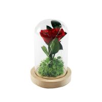 China 17*5.5*6cm LED Natural Preserved Flowers In Glass Dome For Christmas Gift for sale