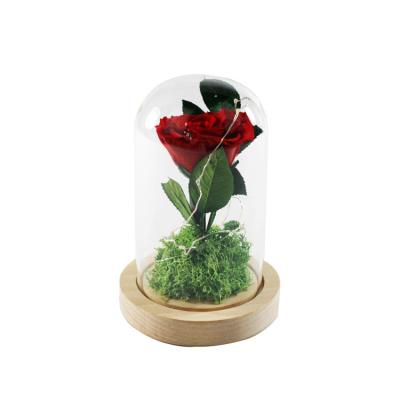 China 17*5.5*6cm LED Natural Preserved Flowers In Glass Dome For Christmas Gift for sale