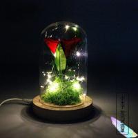 China 17*5.5*6cm LED Natural Preserved Flowers In Glass Dome For Christmas Gift for sale