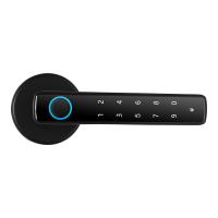 China Hot Selling Wholesale Price Mobile Phone Tuya Wifi APP Spherical Handle Fingerprint Password Intelligent Door Lock for sale