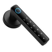 China Hot Selling Wholesale Price Mobile Phone Tuya Wifi APP Spherical Handle Fingerprint Password Intelligent Door Lock for sale