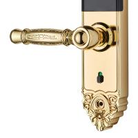 China YAGU European Style Fingerprint Password Security Door Lock Wholesale Factory Selling TTlock&TUYA Version Optional for sale