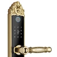 China YAGU European Style Fingerprint Password Security Door Lock Wholesale Factory Selling TTlock&TUYA Version Optional for sale