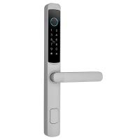 China Wholesale Price High-quality European 85 Mortise Narrow Border TTLock Wifi Aluminum Alloy Door Smart Door Lock for sale