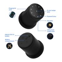 China YAGU Smart Locks Biometric Password and Fingerprint Electronic Replacement Ball Lock Aluminum or Wooden Door Lock for sale
