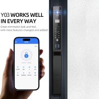 China TTlock Face Recognition Fingerprint Hold Hands Lock Narrow Bezel Cell Phone  Aluminum Door Code Lock Automatic Smart Door Lock for sale