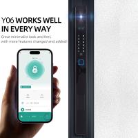 China Straight Style Broken Bridge Aluminum  Ultra Narrow Ultra Thin Frame Face Recognition Palmprint Fully Automatic Smart Door Lock for sale