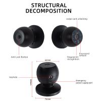 China YAGU Smart Locks Biometric Password and Fingerprint Electronic Replacement Ball Lock Aluminum or Wooden Door Lock for sale
