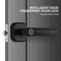 China Export Hot Selling Wholesale Price Mobile Phone Tuya BLE/wifi APP Spherical Handle Fingerprint Password Intelligent Door Lock for sale
