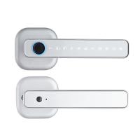 China Export Hot Selling Wholesale Price Mobile Phone Tuya BLE/wifi APP Spherical Handle Fingerprint Password Intelligent Door Lock for sale