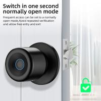 China Yagu Stainless Steel Tuya App Fingerprint Smart Ball Lock Blue-tooth Smart Door Lock for Room Office Home Apartment for sale
