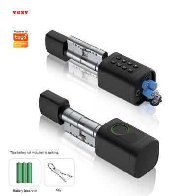 China Ttlock Fingerprint Keypad Combination Cylinder Lock with Keys and Emergency Function for Aluminum Door Cloud Data Storage for sale