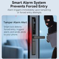 China Narrow Frame Aluminum Alloy Glass Door Smart Lock Broken Bridge Aluminum Smart Lock Tuya App Control Memory Card Storage for sale