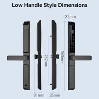 China Narrow Frame Aluminum Alloy Glass Door Smart Lock Broken Bridge Aluminum Smart Lock Tuya App Control Memory Card Storage for sale