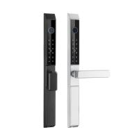 China Narrow Frame Aluminum Alloy Glass Door Smart Lock Broken Bridge Aluminum Smart Lock Tuya App Control Memory Card Storage for sale
