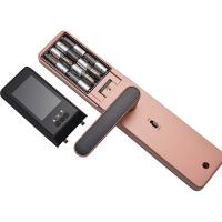 China YAGU WiFi Tuya App 3D Face Recognition Biometric Fingerprint Digital Facial Automatic Smart Security Door Locks with Camera for sale
