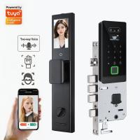China YAGU Fully Automatic Face/Camera Wifi Main Door Lock Electric Small Remote Control Biometric Fingerprint Gate Lock for sale