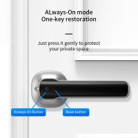 China YaguTuya Smart Fingerprint Door Lock Aluminium Handle Model Supports Wi-Fi Connectivity Suitable for Wooden Doors for sale