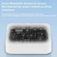 China G2 Ttlock App Wireless Wifi Gateway for Smart Locks for sale