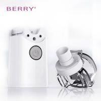 China Travelling Compressor Mesh Nebulizer Portable Handheld for sale