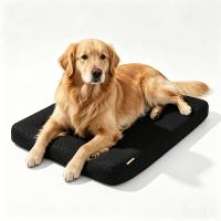 China Suitable for Dogs and Cats Durable Dog Bed Elevated Cooling Mesh Design Keeps Pets Comfortable During Warm Weather for sale