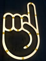 China Aurora LED Flex Neon Light , 18mm Depth Wall Hanging Neon Sign for sale
