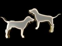 China Stainless Steel / Acrylic Visual Merchandising Displays Golden for Retail Store for sale