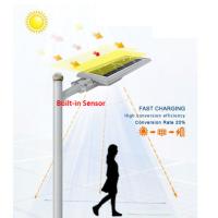 China RoHs CB Monocrystalline Solar Panel Pole Light , 600lm Led Solar Street Light 90w for sale