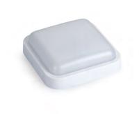 China 1260lm Triproof Surface Mounted Square LED Bulkhead Light for sale