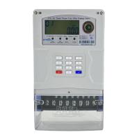China STS Standard AMI Smart Meter with Alipay Payment Options Integration Solutions for sale