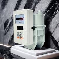 China STS Smart Electronic Prepaid Gas Meter for sale