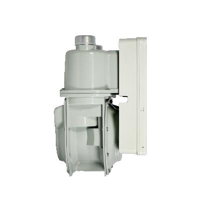 China STS Prepaid Smart Gas Meter 0-9999 M³ LoRaWAN IP65 with Valve Control and Leak Detection for sale