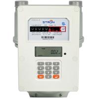China Smart Gas Meter wireless gas measurement system suitable for large scale deployment in commercial and industrial environments for sale