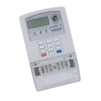 China IP54 Single Phase Smart Prepaid Electricity Meter 80A Max Current with STS Standard and Mobile Payment Integration for sale
