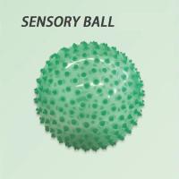 China Unisex Large Value Spike Plastic Ball Customized LOGO Inflatable Sensory Ball for Babies for sale