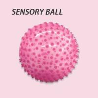 China Unisex Large Value Spike Plastic Ball Customized LOGO Inflatable Sensory Ball for Babies for sale