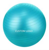 China Availalbe OEM 55cm PVC Anti-Burst Gym Exercise Yoga Ball with Air Pump and Colorful for sale