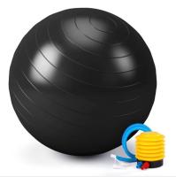 China Availalbe OEM 55cm PVC Anti-Burst Gym Exercise Yoga Ball with Air Pump and Colorful for sale