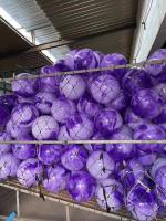 China Marble Pvc Ball for 0 to 24 Months Age Range Customizable Packaging Options for sale