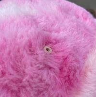 China FB-h Polyester PVC Christmas Pink Inflatable Ball for Christmas Decoration for sale