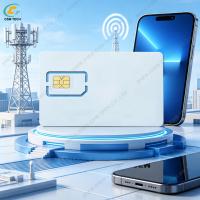 China eUICC Card eSIM Physical Card with 340KB Memory CR80 Size and PVC Material for Multiple eSIM Profiles for sale