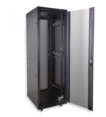 China Steel Back Door Server Rack Cabinet 1300kg Loading Weight 18U-47U 600mm/800mm Width 600mm/800mm/900mm/1000mm/1200mm Depth for sale