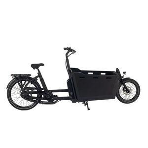 China 2 Wheel Cargo E Bike Family-Friendly Cargo Bicycle with Electric Assist for sale