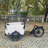 China Electric Cargo Bike 20/26 Inch Three Wheel Cargo E Bicycle Large Capacity Delivery Bike for sale