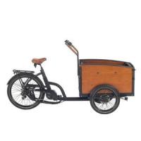China Electric Cargo Bike 250W 7-Speed Cargo Bicycle with Large Capacity Family Bicycle for sale